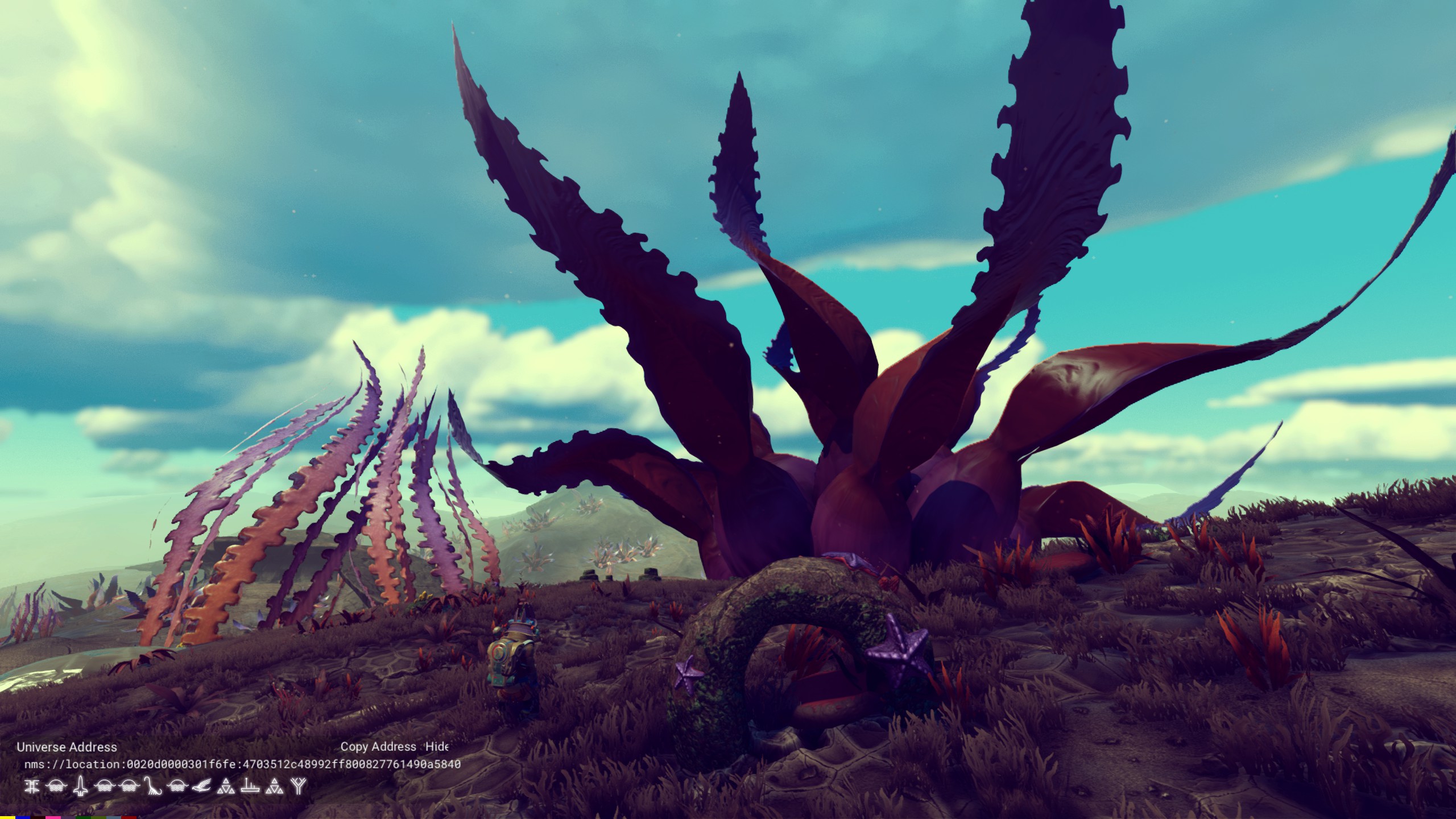 One of the most amazing planets I've visited in 250h! : r/NoMansSkyTheGame
